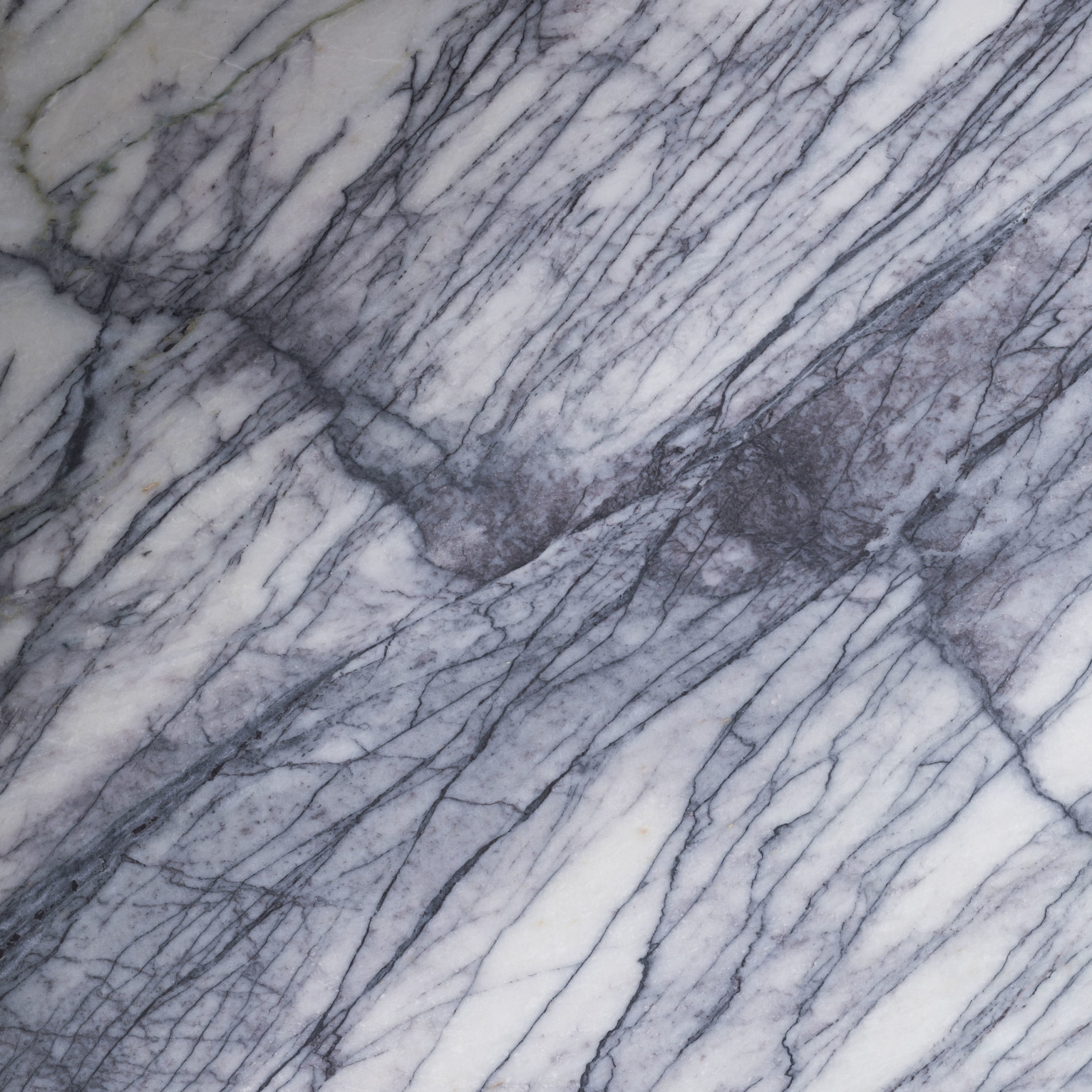 Calacatta Viola Honed Marble Slab | Mandarin Stone