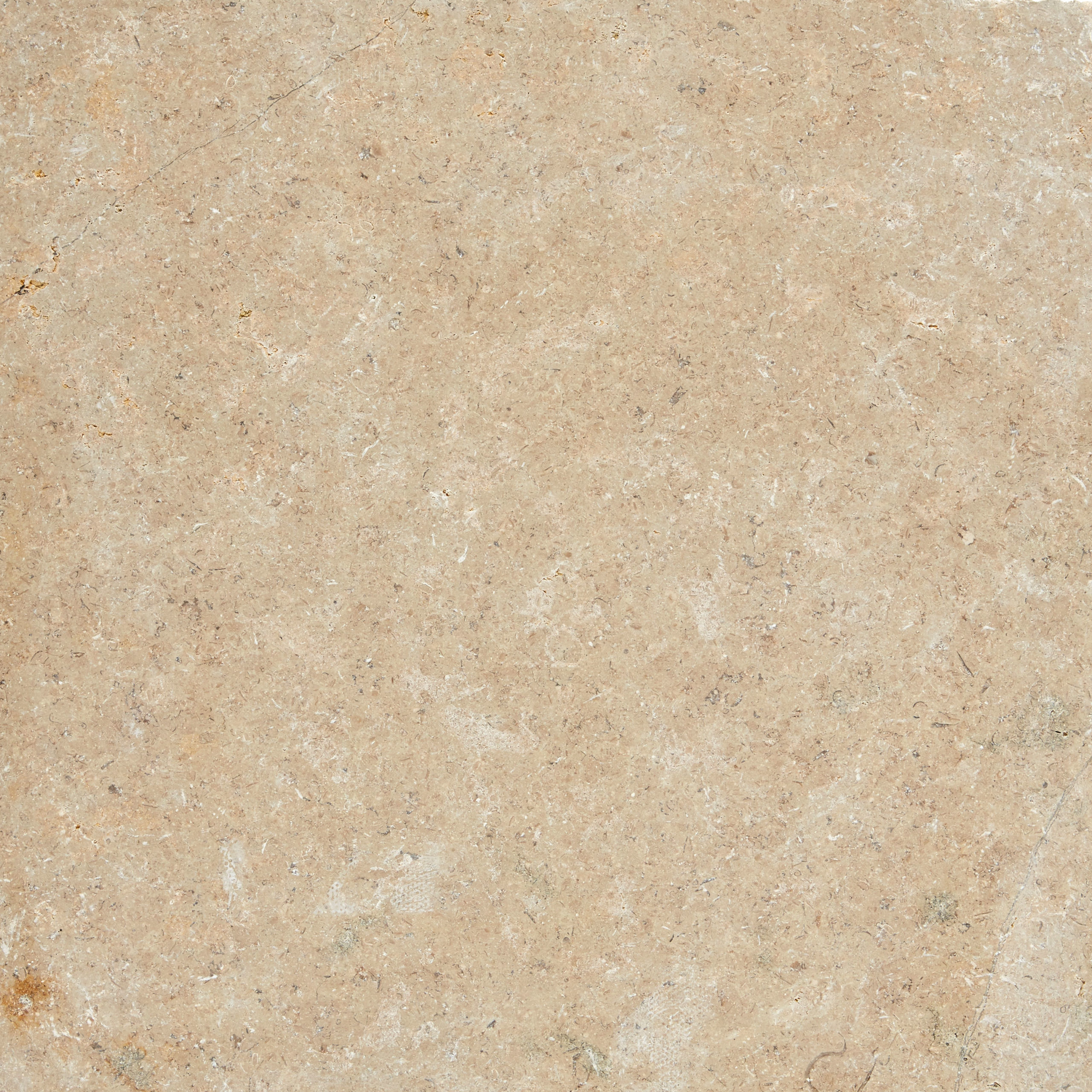 Dijon Blend Tumbled Outdoor Limestone | Flagstone Tiles